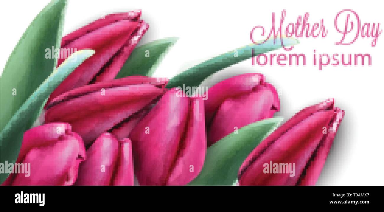 Pink tulip flowers banner Vector watercolor. Mother day card. Beautiful ...