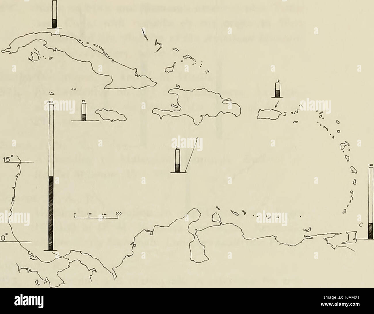 The Ecology of arboreal folivores Stock Photo - Alamy