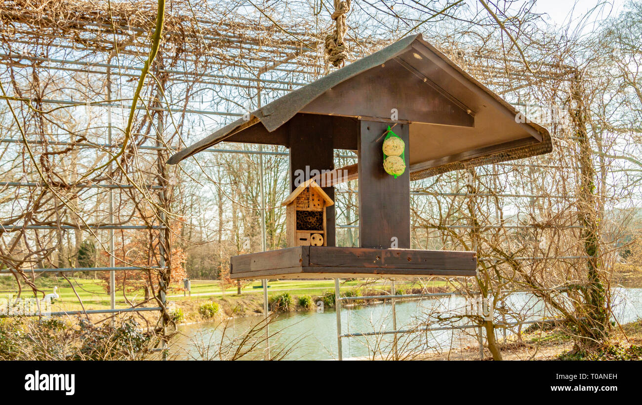 Ecological combination of a bird feeder and a hotel for insects hanging ...
