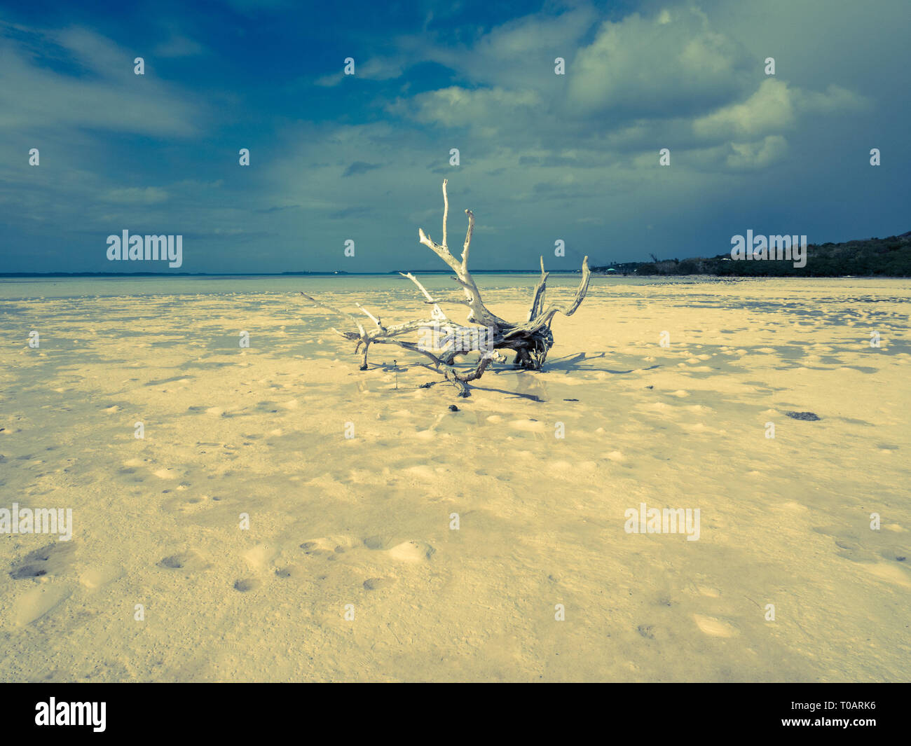 Bahamas coastline hi-res stock photography and images - Alamy