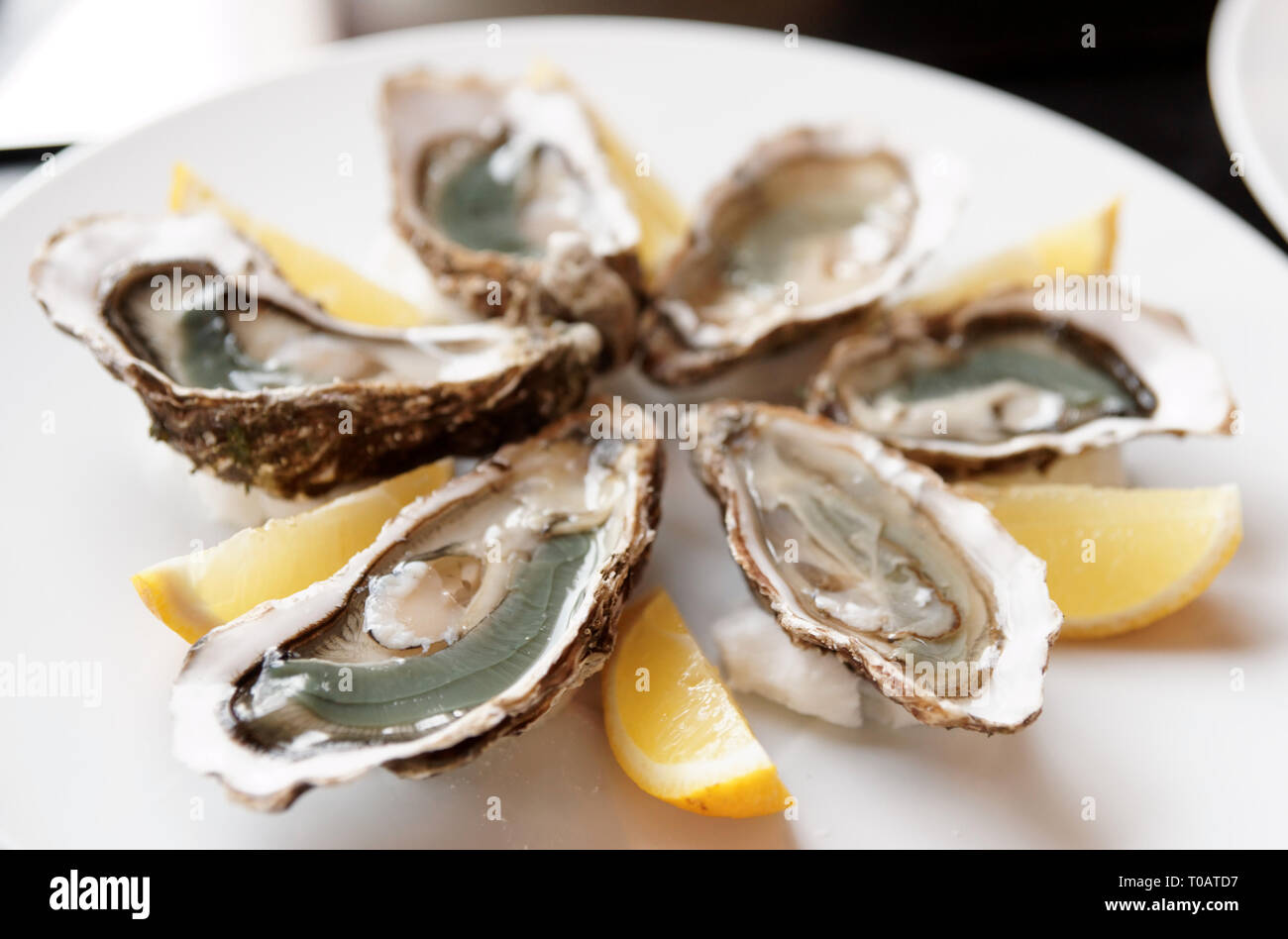 Open oyster hi-res stock photography and images - Alamy
