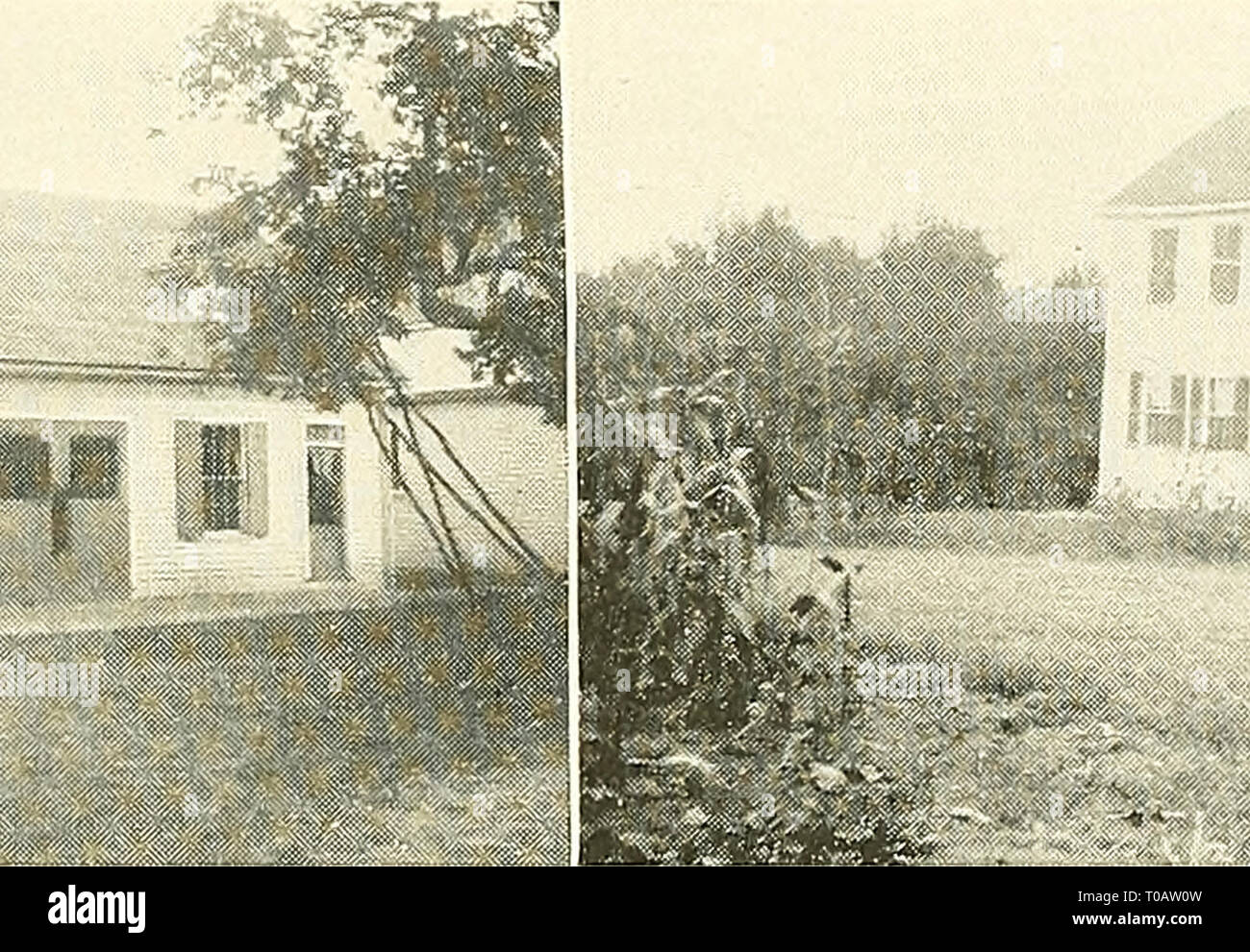 The driving clubs of greater Stock Photo - Alamy