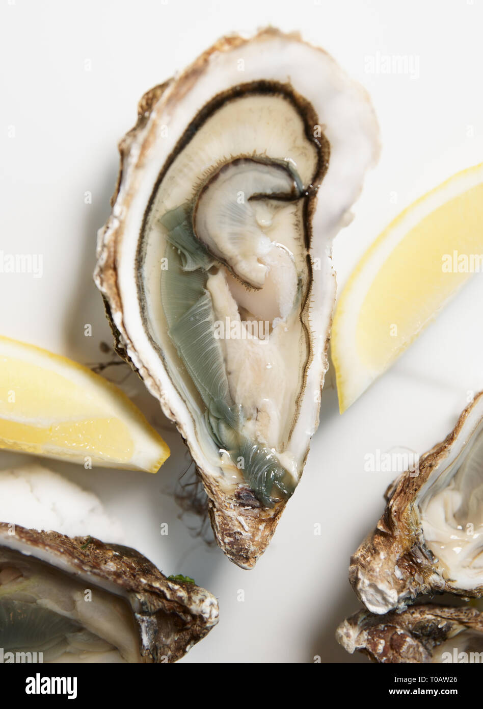 Open oyster hi-res stock photography and images - Alamy