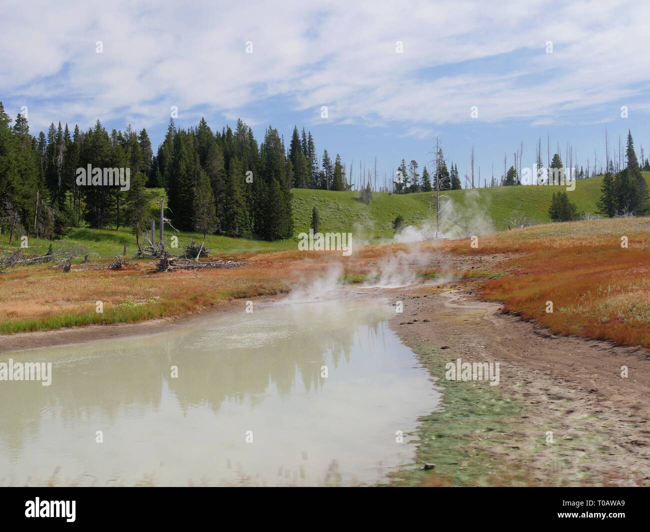 Steam rising from a hot spring at the Yellowstone National Park Stock ...