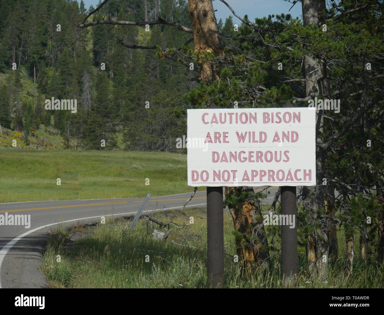 Bison sign warning hi-res stock photography and images - Alamy