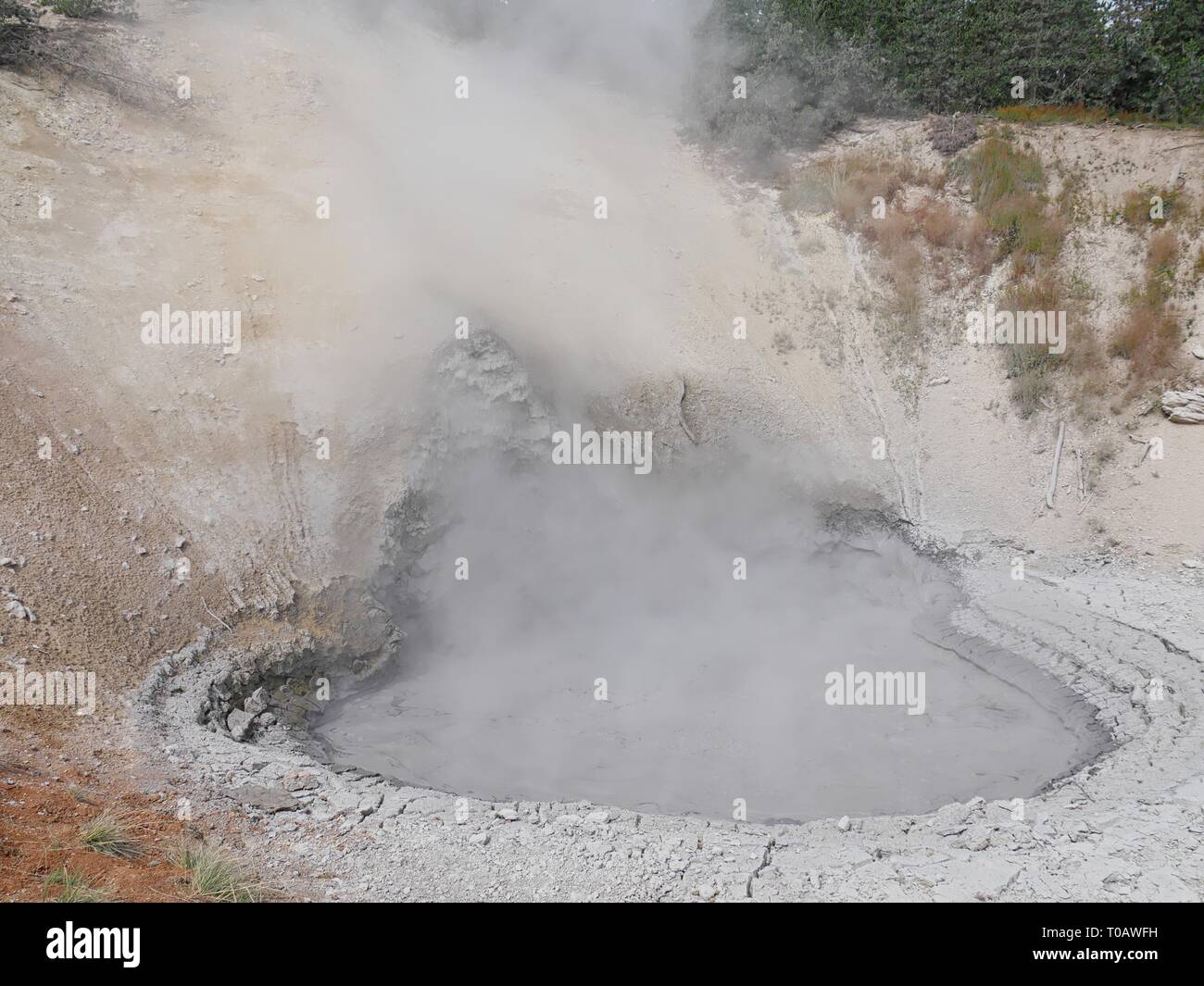 Bubbling mud volcano with steam rising out of the pool at Yellowstone ...