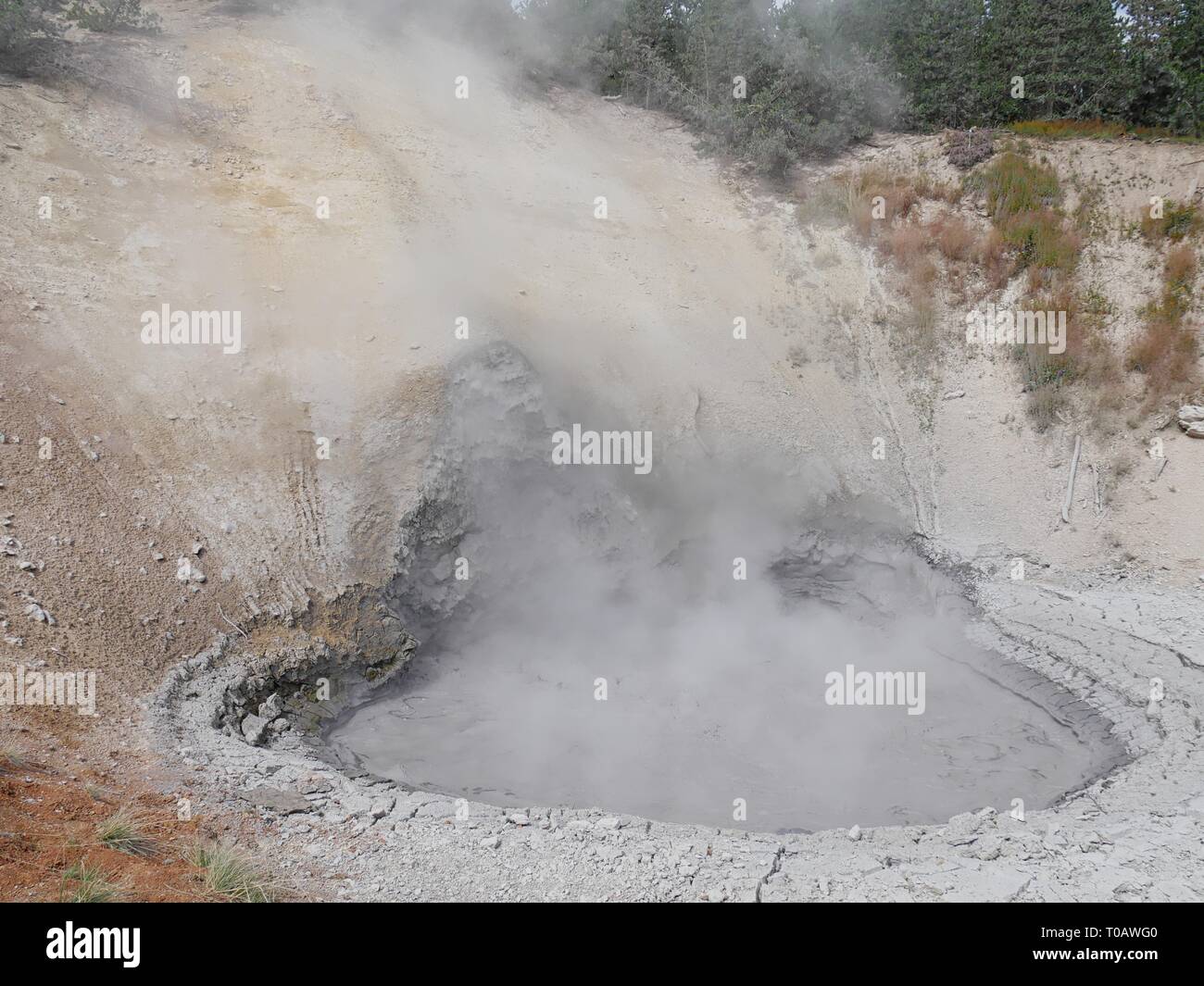 Wide view of the bubbling mud volcano with steam rising out of the pool ...