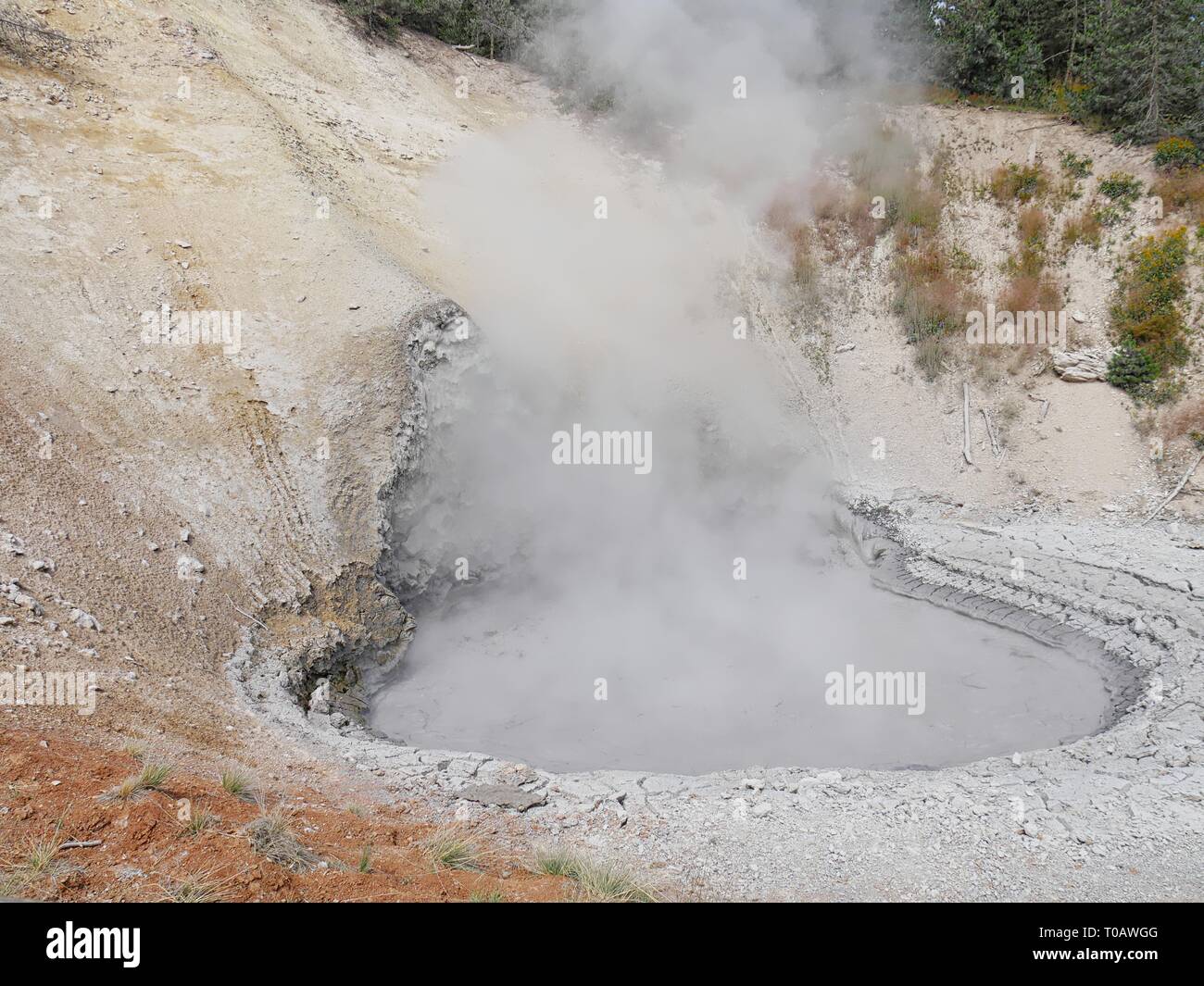 Breathtaking view of the bubbling mud volcano with steam rising out of ...
