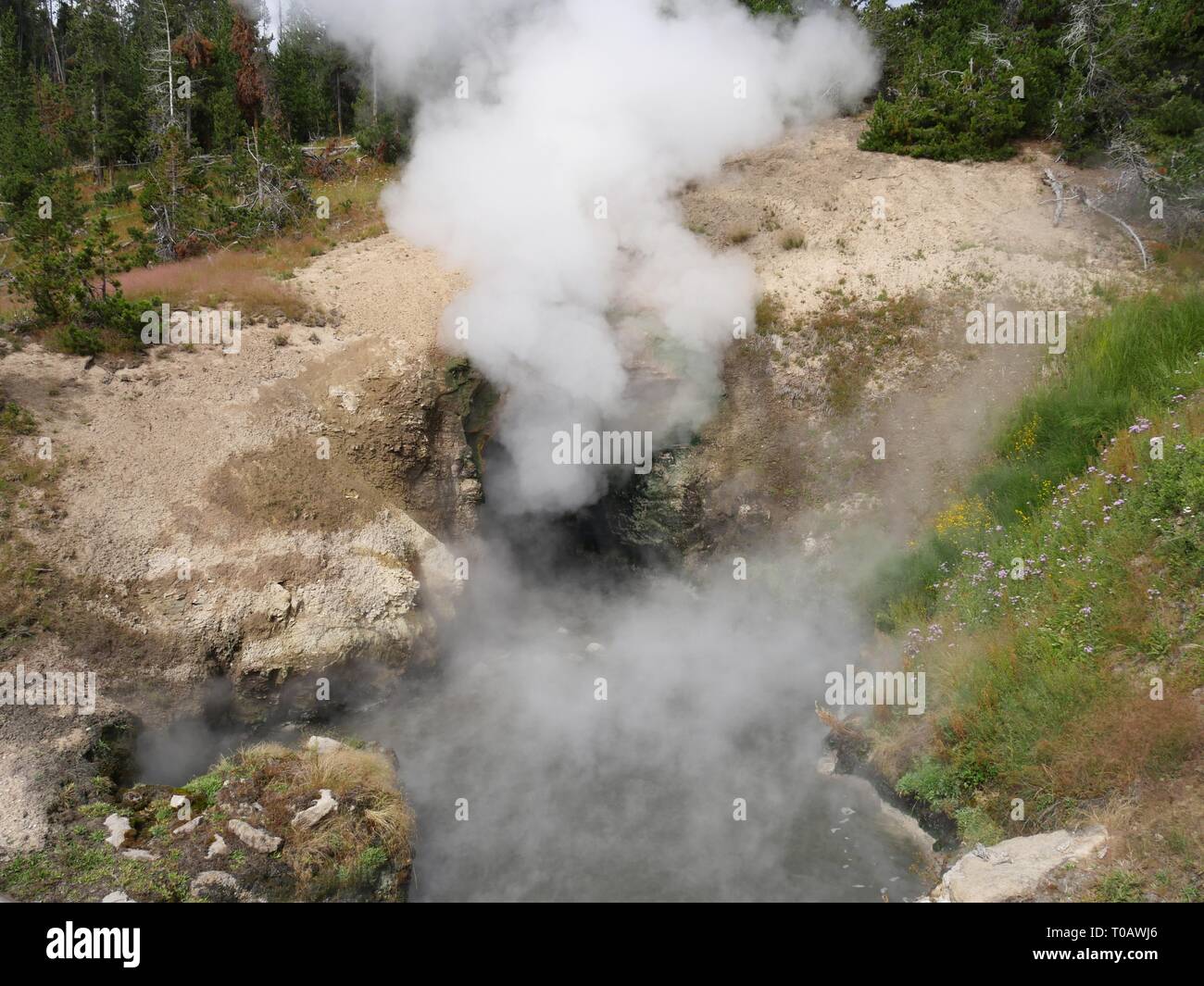 The dragons mouth geyser hi-res stock photography and images - Alamy