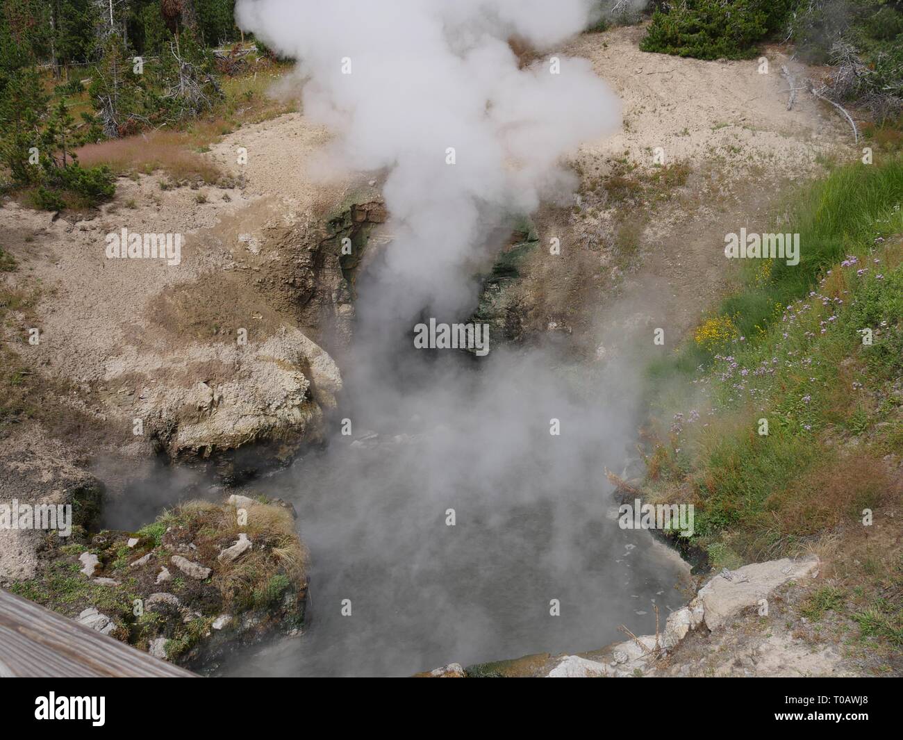 Driving around yellowstone national park hi-res stock photography and ...