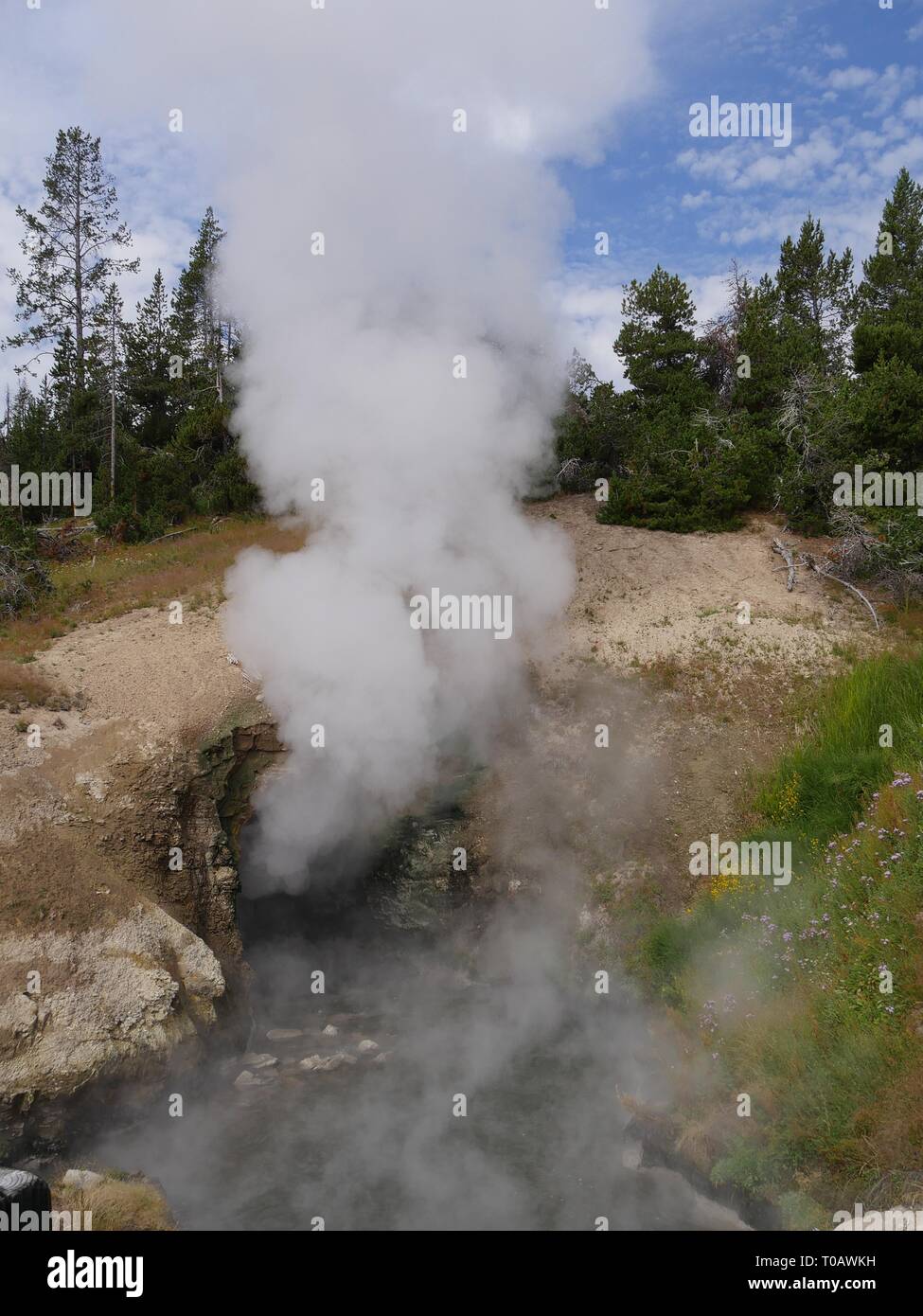 The dragons mouth geyser hi-res stock photography and images - Alamy