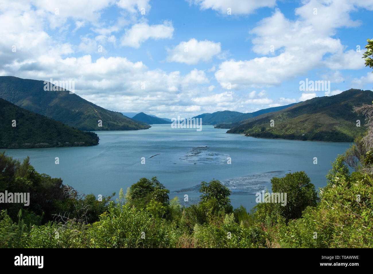 Cloudy bay new zealand hi-res stock photography and images - Alamy