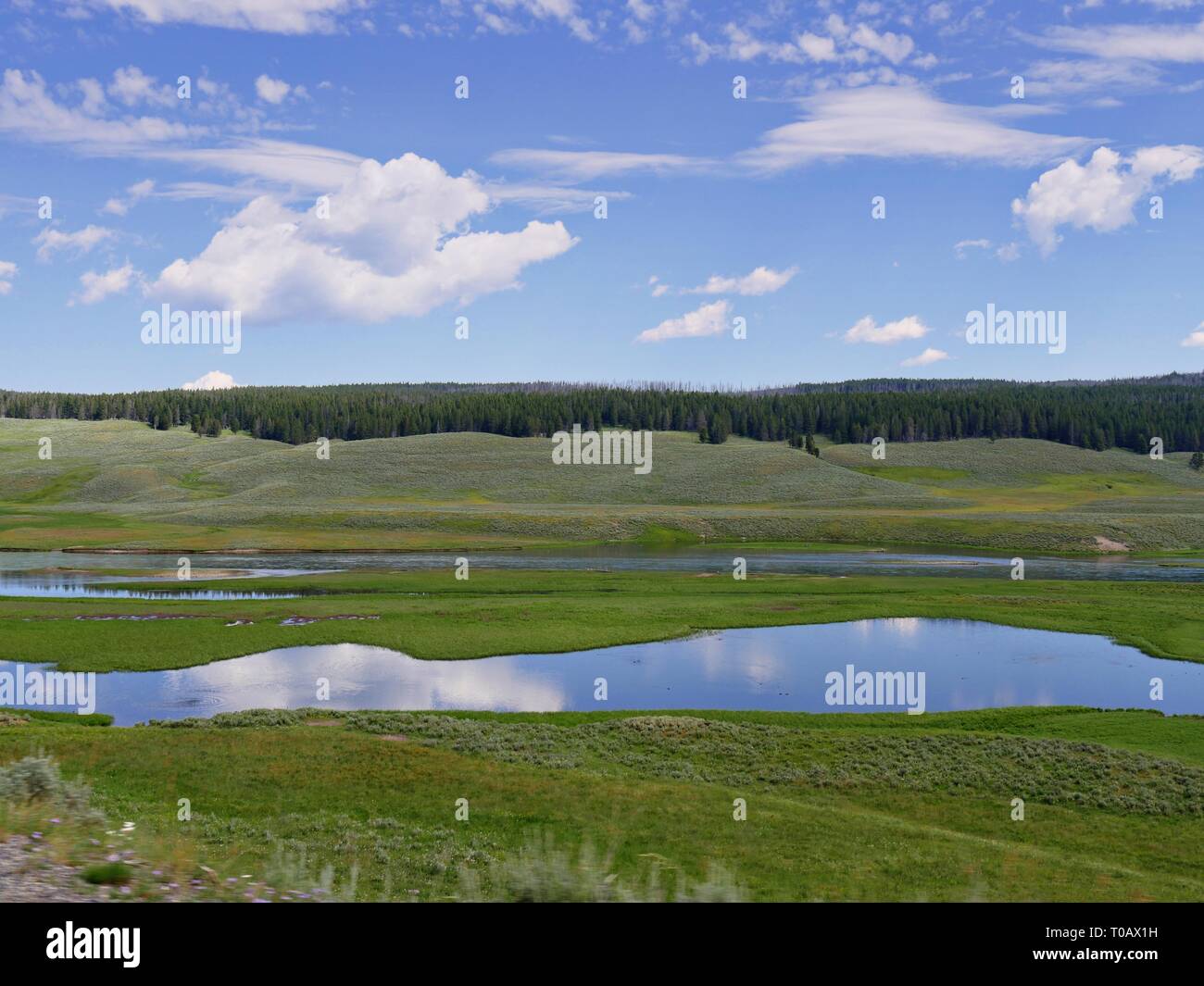 Wide view of the meadows with the Yellowstone River at the Yellowstone ...