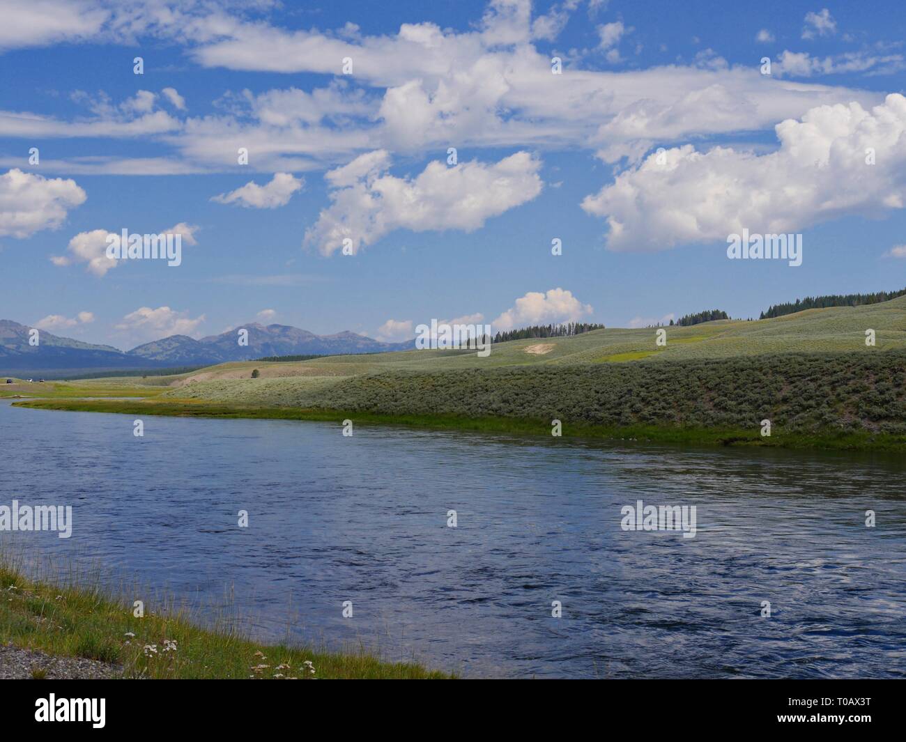 Medium close up of the landscape with the Yellowstone River along the ...