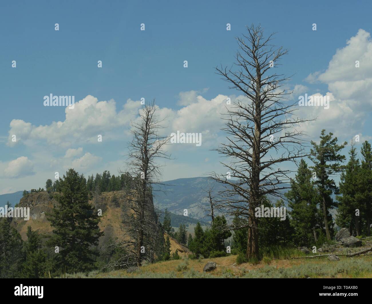 Scenic view with gorgeous clouds in the skies at Yellowstone National ...