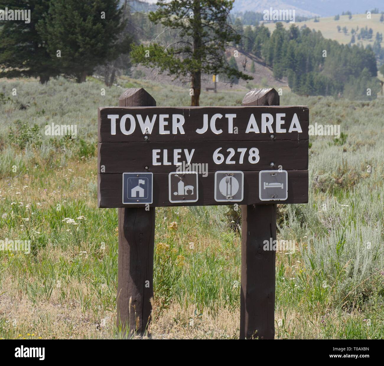 Driving around yellowstone park hi-res stock photography and images - Alamy