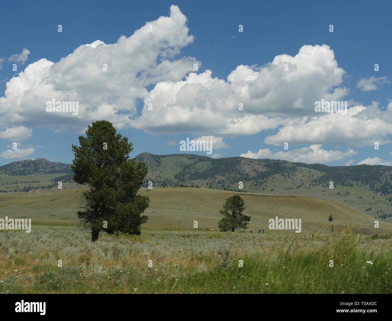 Scenic hills and green meadow with gorgeous clouds in the skies at ...