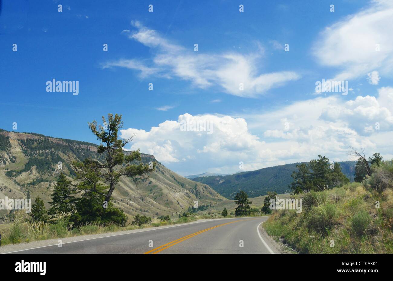 Scenic drives around the Yellowstone National Park in Wyoming, USA ...