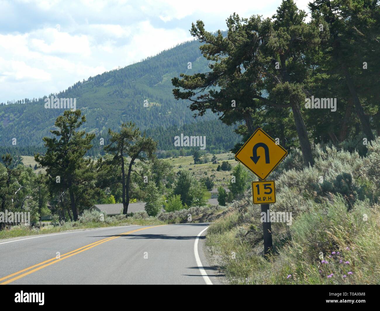 Scenic road with a U-Turn and speed limit sign on the road at ...