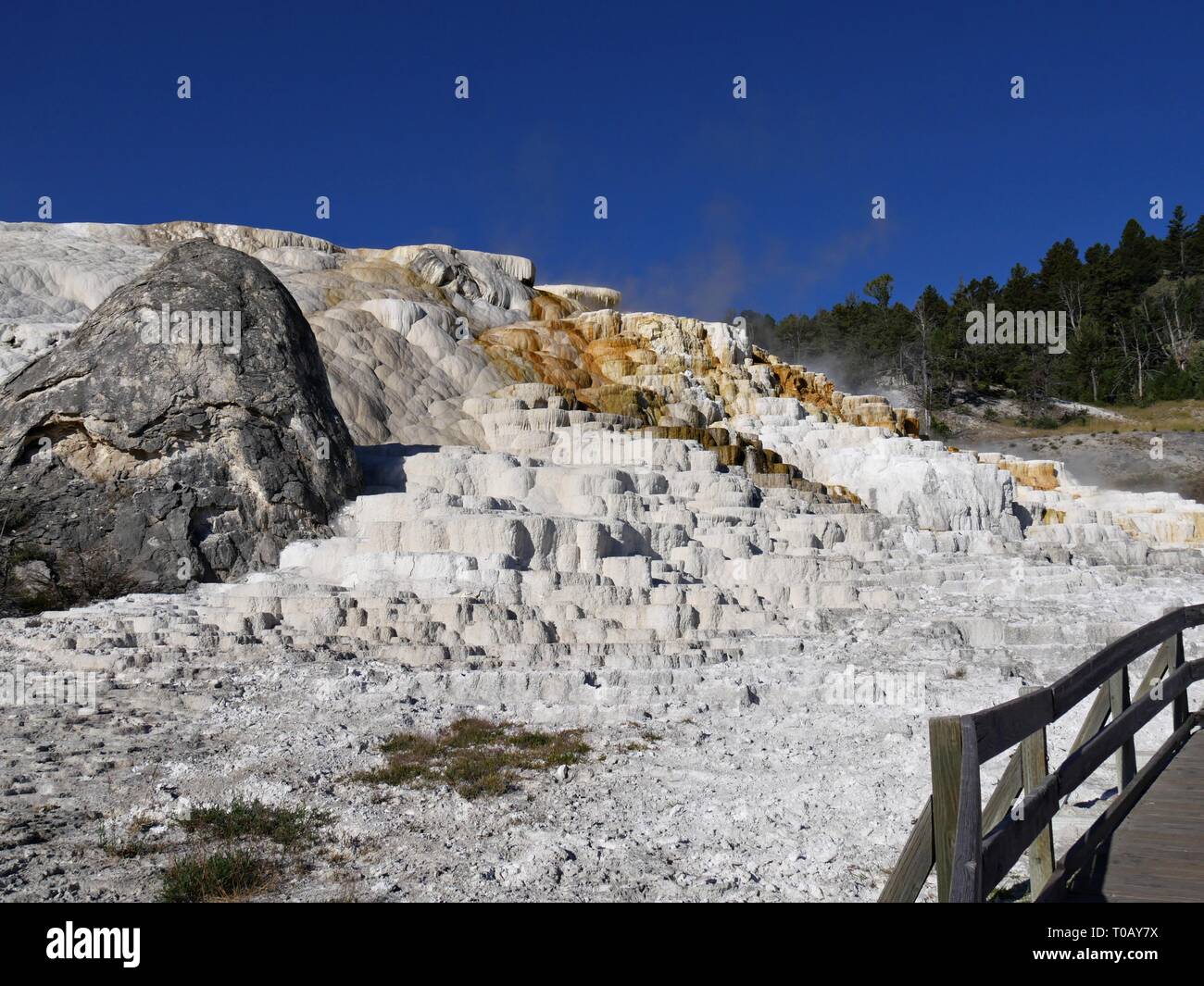 Side view of the Canary Springs and Palette Terraces of the Mammoth Hot ...
