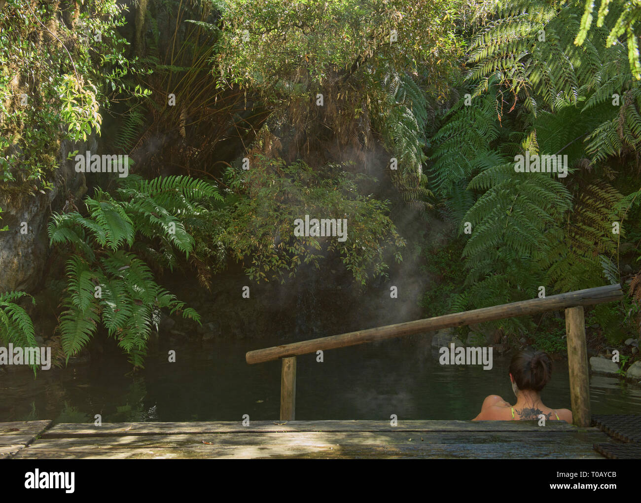 Termas de Puyuhuapi hot springs, Puyuhuapi Lodge, Patagonia, Aysen ...