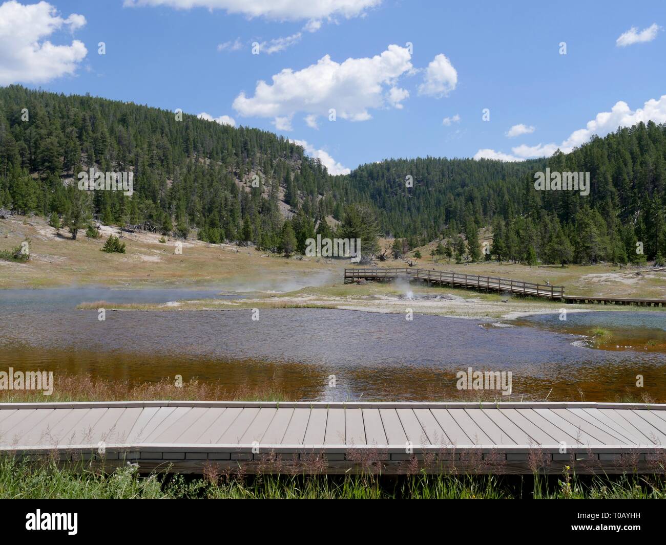 Close up of wooden walkways around hot springs and steaming geysers at ...