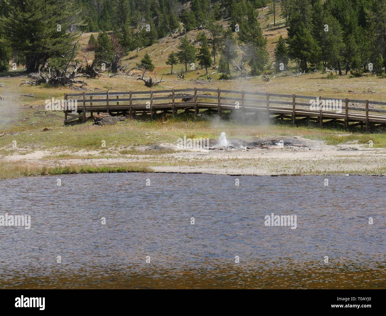 Wooden walkways next to a bubbling hot springs at Yellowstone National ...
