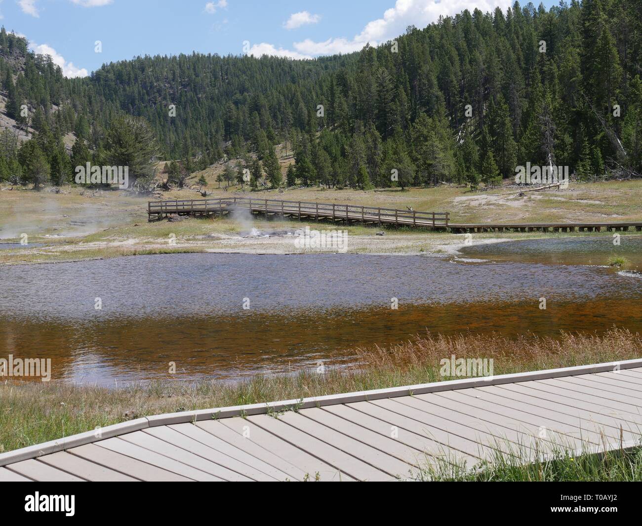 Wooden walkways around hot springs and steaming geysers at Yellowstone ...