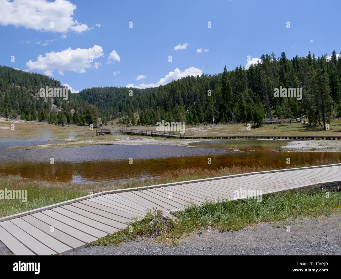 Wide shot Wooden walkways around hot springs and steaming geysers at ...