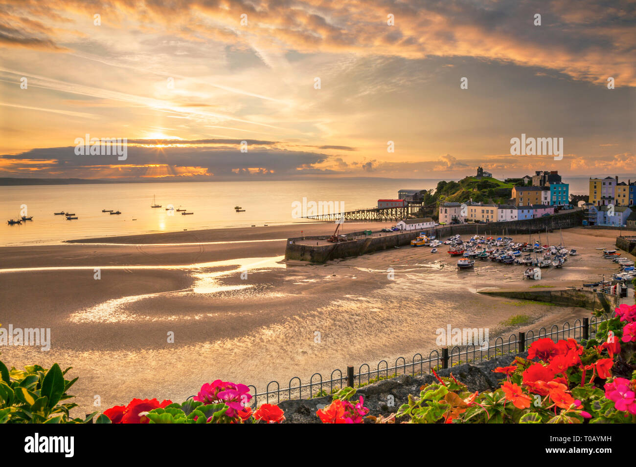Temby pembrokeshire wales hi-res stock photography and images - Alamy