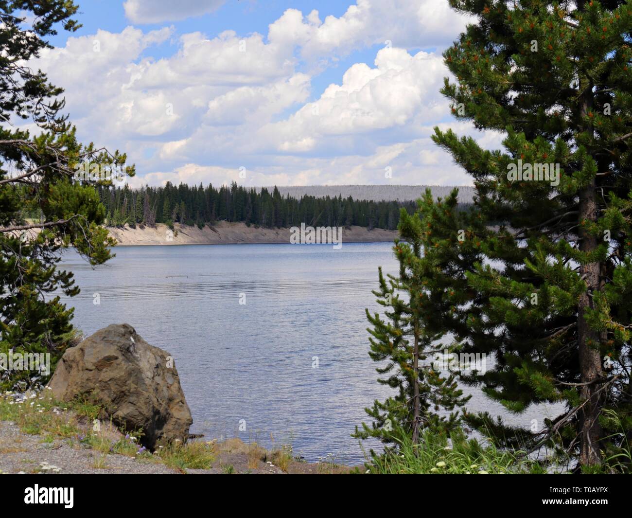 Scenic view of Yellowstone Lake framed by trees at Yellowstone National ...