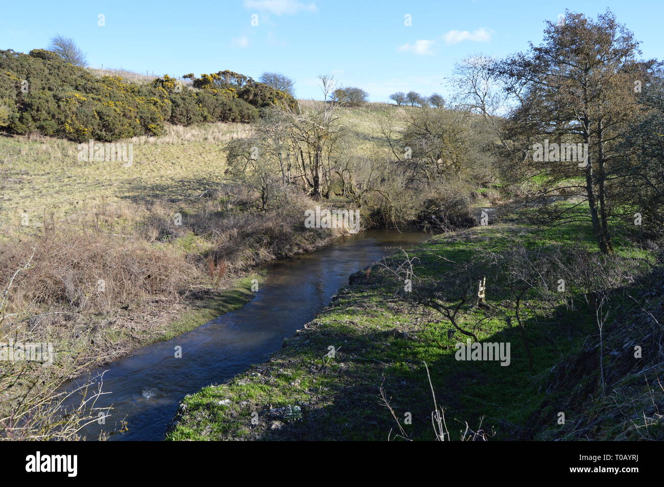 Carnoustie angus hi-res stock photography and images - Alamy