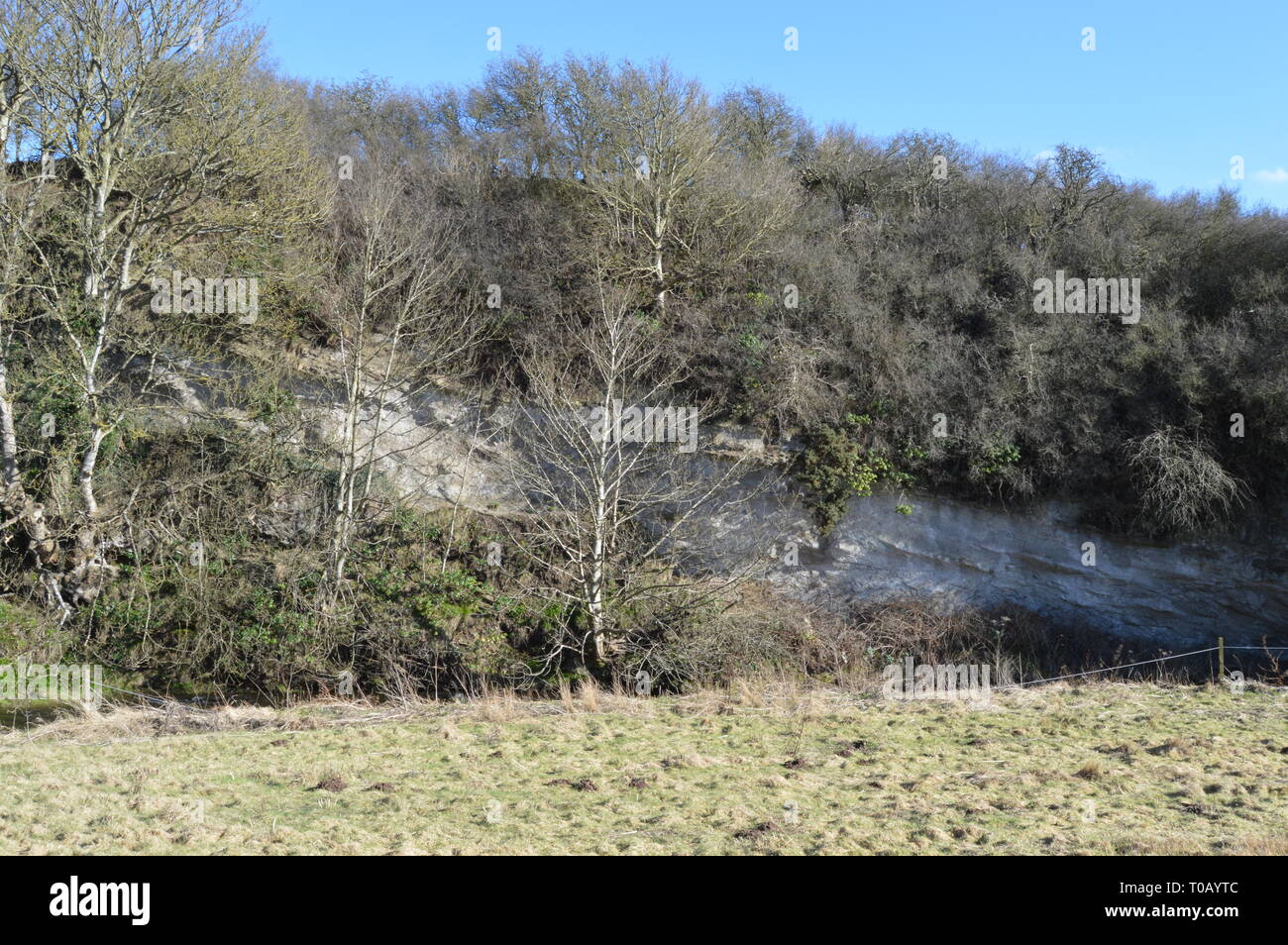 Craig mill den hi-res stock photography and images - Alamy