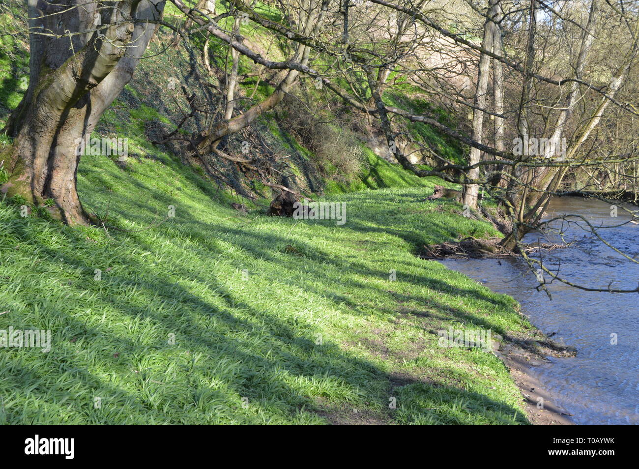 Craig mill den hi-res stock photography and images - Alamy