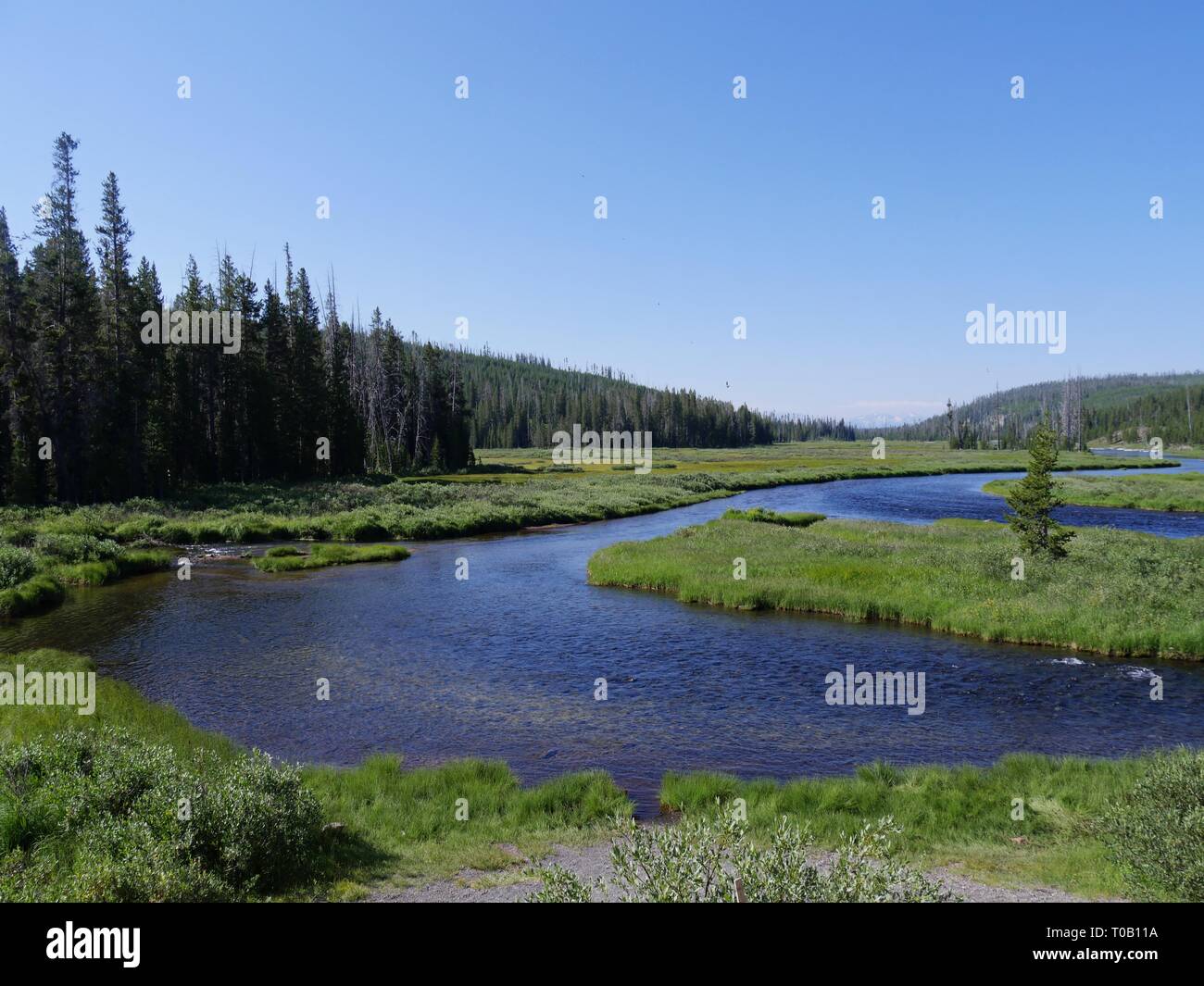 Wide scenic shot of Lewis River at Yellowstone National Park in Wyoming ...
