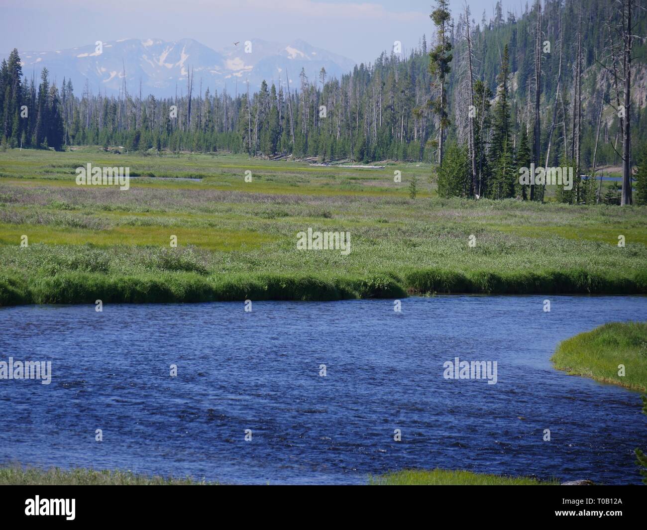 Close up shot lewis hi-res stock photography and images - Alamy