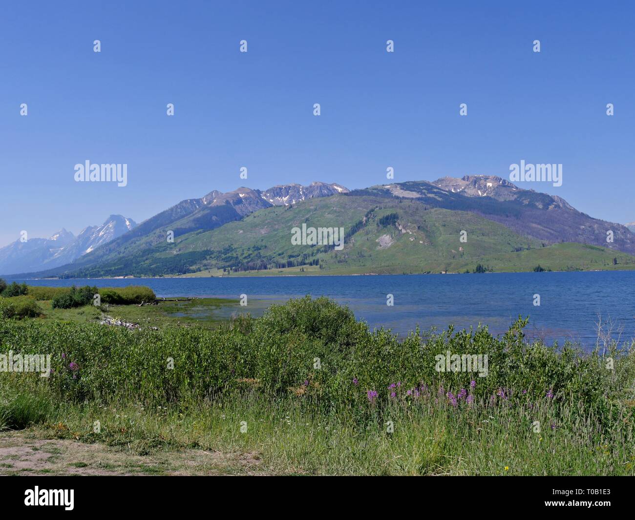 Things to see in grand teton hi-res stock photography and images - Alamy
