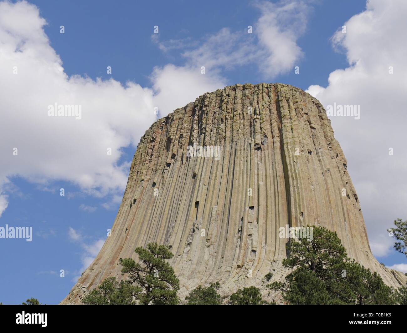 Full view of the top of Devils Tower. The Devils Tower in Wyoming is ...