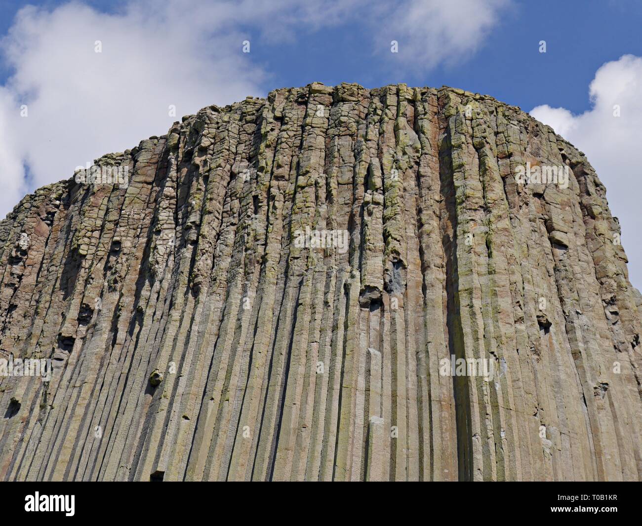 Extreme close up of the patterns of the Devils Tower wall at the top ...