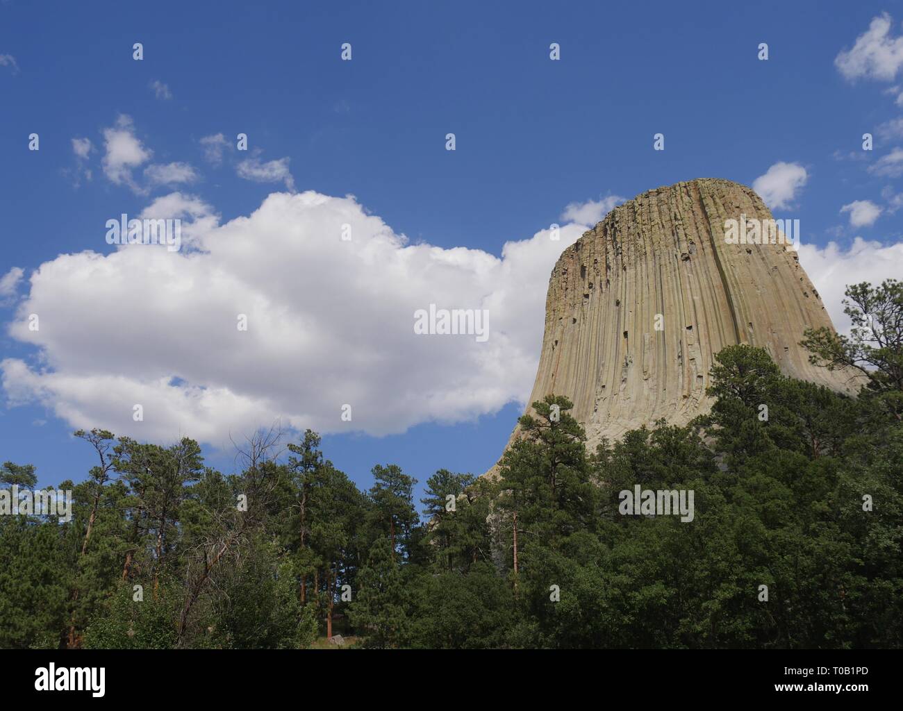 The Devils Tower framed by lush green trees and beautiful clouds Stock ...
