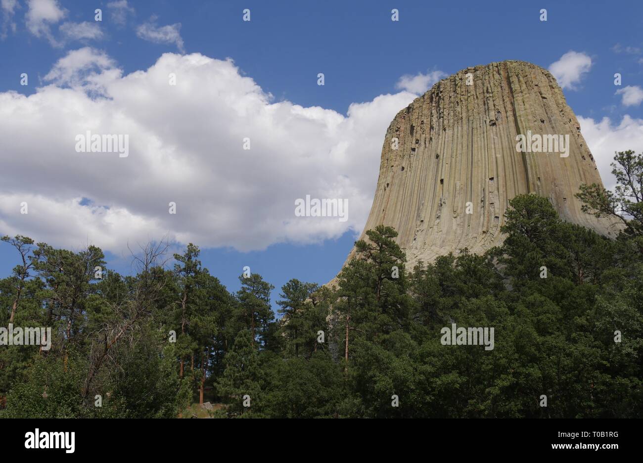 Wide shot of the Devils Tower, with beautiful clouds in the background ...