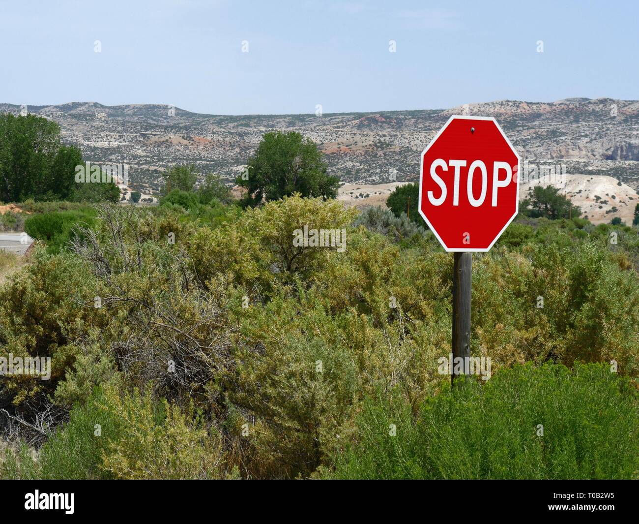 Shot of a Stop sign erected along the highway in Montana Stock Photo ...