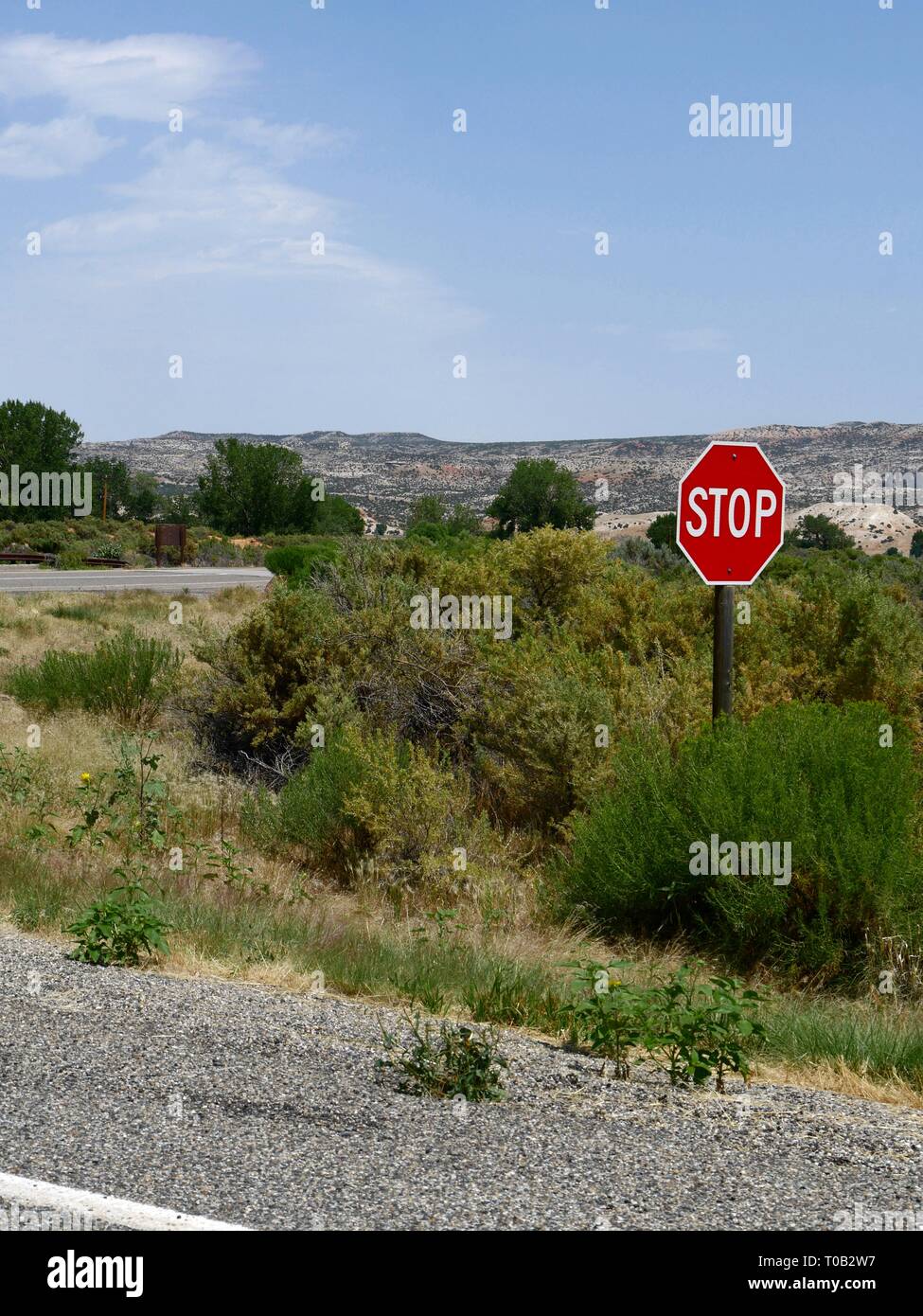 Portrait shot of a Stop sign erected along the highway in Montana Stock ...