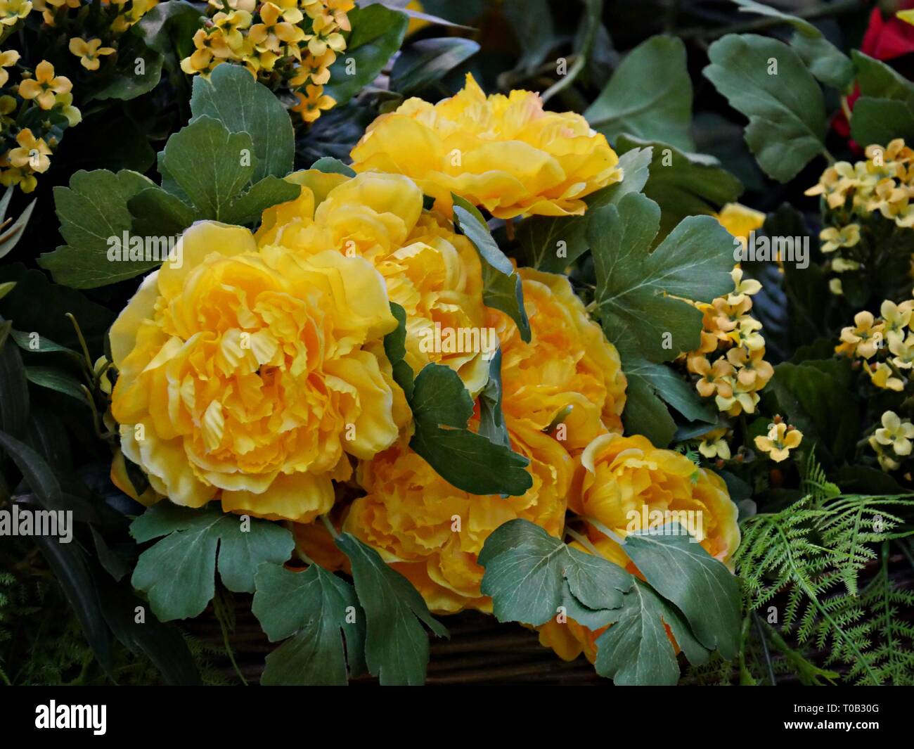 Close up of a bunch of yellow roses Stock Photo - Alamy
