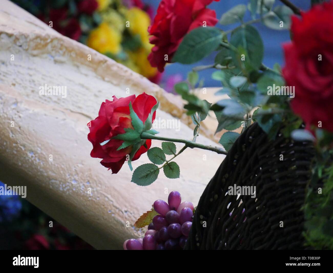 Wide shot of red roses and a cluster of plastic grapes Stock Photo - Alamy