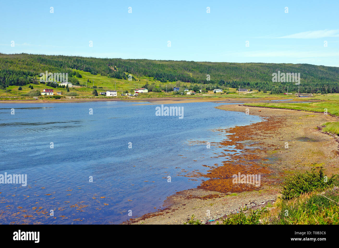 Riverhead, Newfoundland as the tide is going out Stock Photo - Alamy