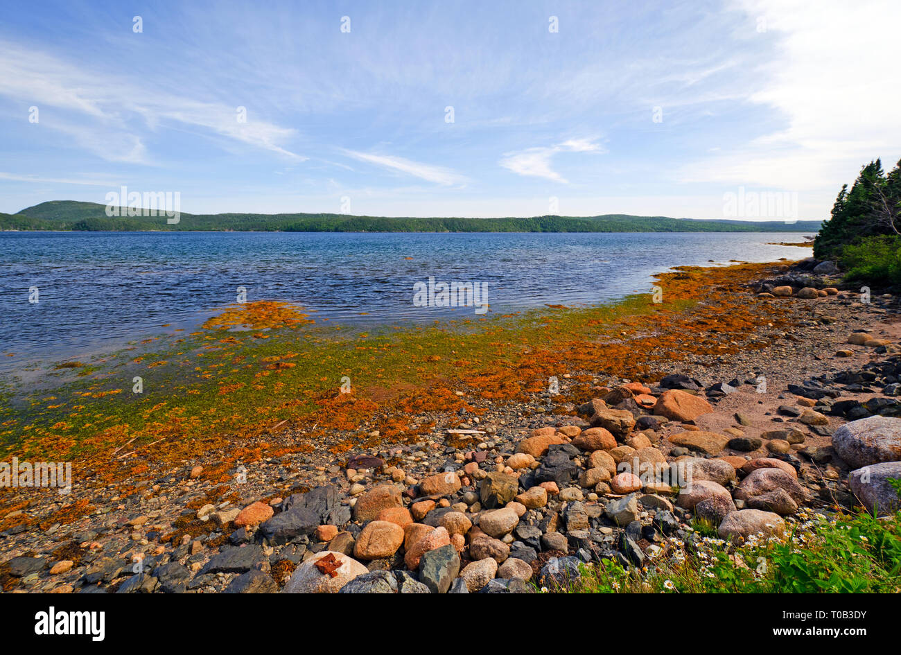Isolated Bay in Terra Nova National Park in Newfoundland Stock Photo ...
