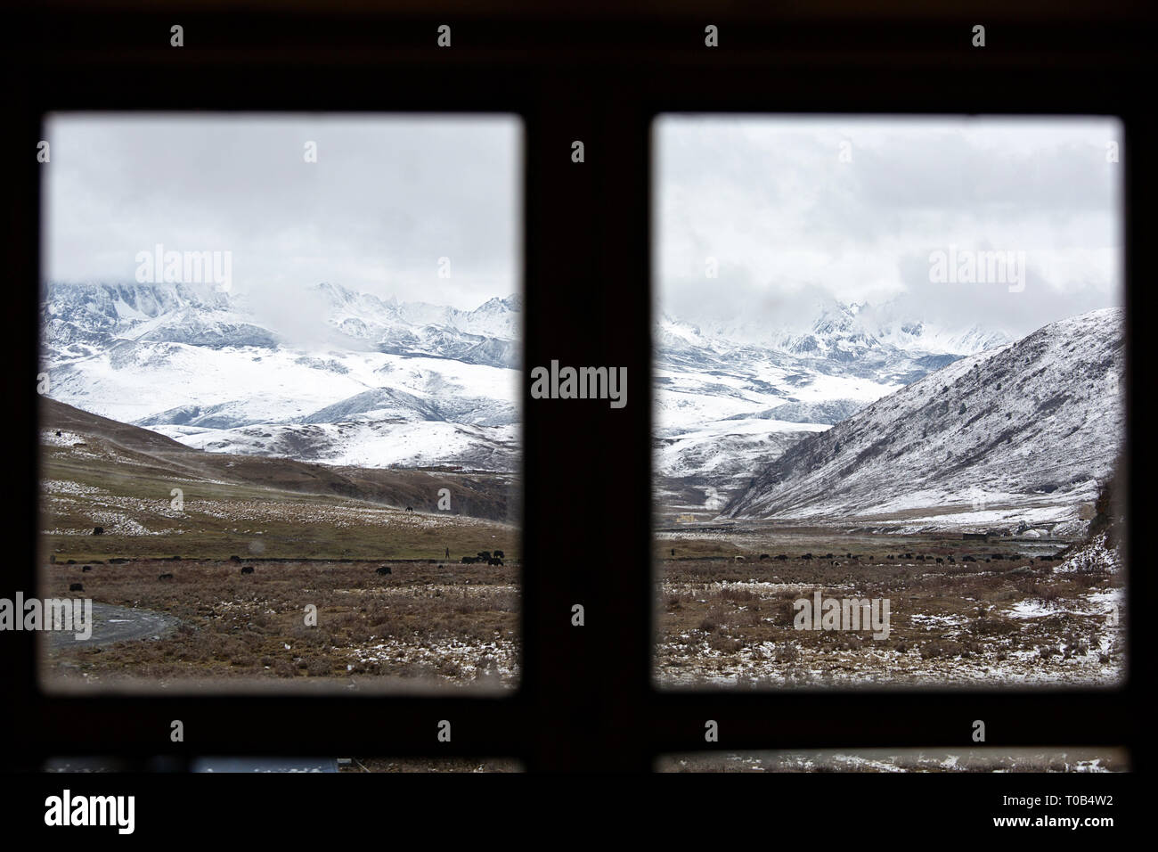 Tibetan house window tibet hi-res stock photography and images - Alamy
