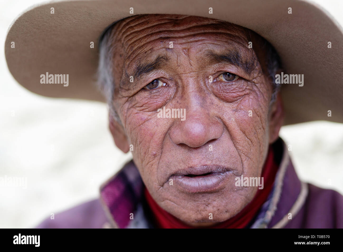 Pilgrim portrait hi-res stock photography and images - Alamy