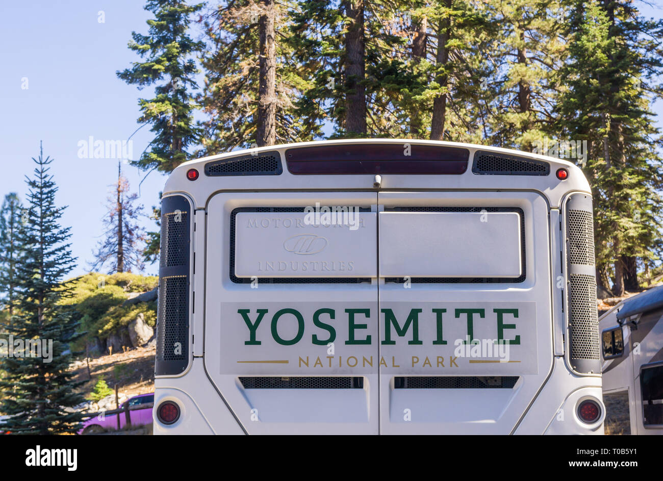 A tour bus in Yosemite National Park, California Stock Photo - Alamy
